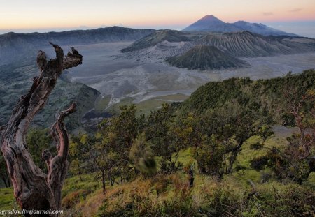 mount bromo, indonesia - Forests & Nature Background Wallpapers on ...
