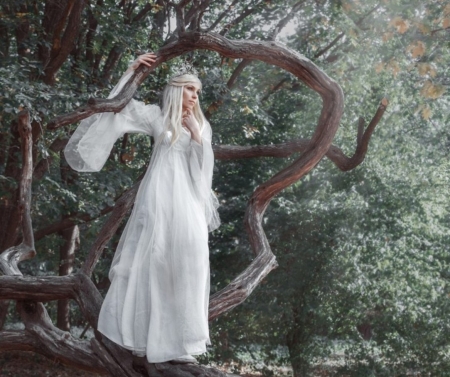 Comments on White Lady - Photography Wallpaper ID 2069627 - Desktop ...