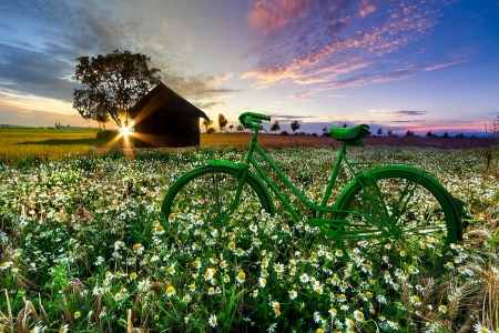 Rural Farm in Chartres, France - Fields & Nature Background Wallpapers ...