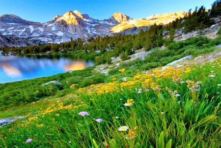 Lake in spring - Lakes & Nature Background Wallpapers on Desktop Nexus ...