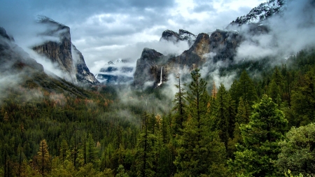 Yosemite Valley Morning Fog - Mountains & Nature Background Wallpapers ...