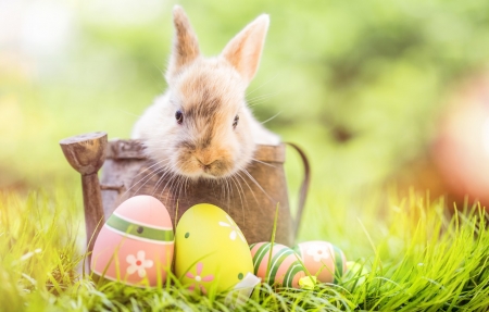 Happy Easter! - Rodents & Animals Background Wallpapers on Desktop ...