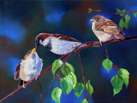 spatzen-family - Birds & Animals Background Wallpapers on Desktop Nexus ...