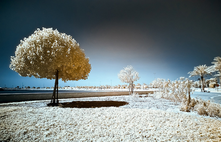White Landscape - 3D and CG & Abstract Background Wallpapers on Desktop ...